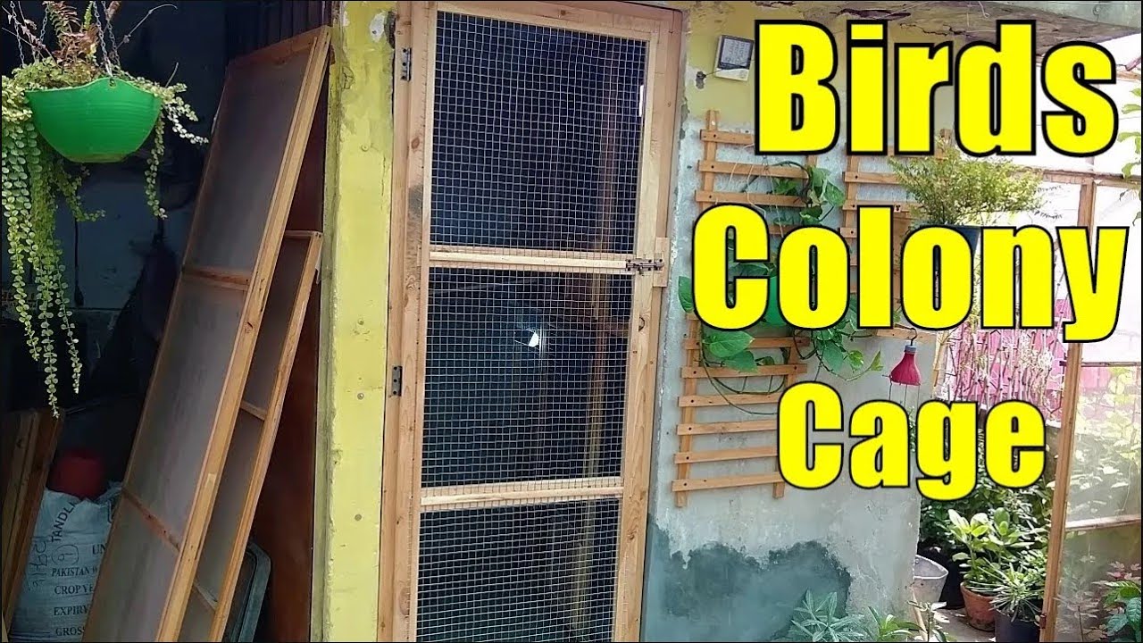 Beautiful New Colony Cage for My Birds - YouTube