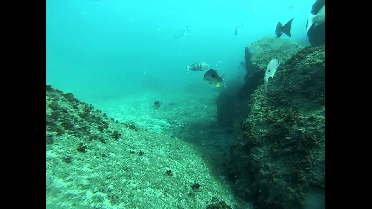 Tweed River Winter Diving - YouTube