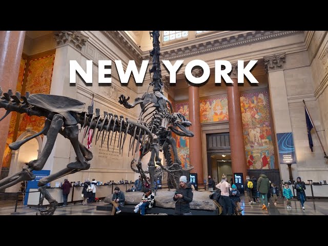 Museum Of Natural History Checking Out Cleveland Museum Of Natural