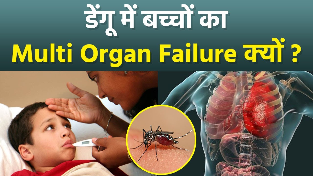 Kids में Multi Organ Failure क्यों होता है | Dengue Multi Organ Failure ...