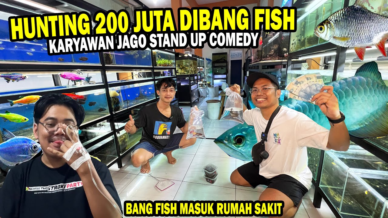 GAWAT!! BANG FISH MASUK RUMAH SAKIT? HUNTING 200 JUTA DI TOKO BANG FISH ...