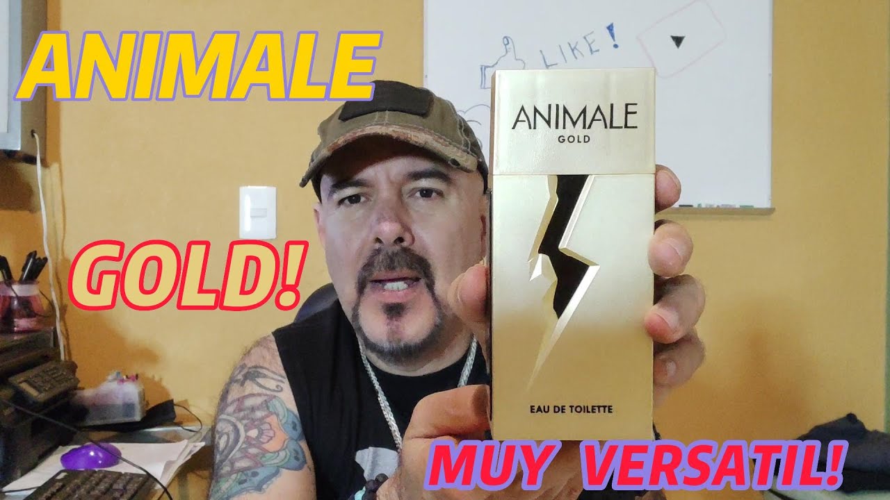 🐯🐅ANIMALE GOLD , MUY VERSATIL!🐯🐅 - YouTube