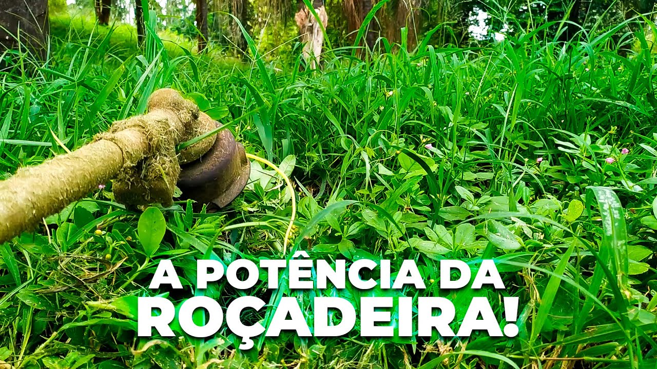 OLHA A POTENCIA DESSA ROÇADEIRA STIHL FS 290 - Roçando grama com NYLON ...
