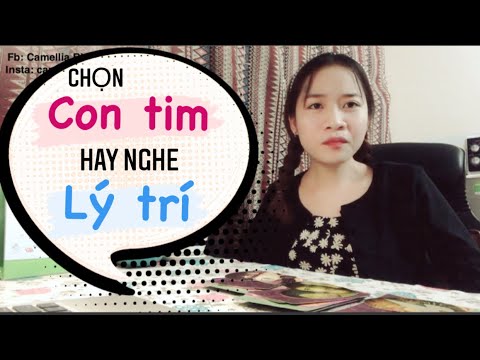 Chọn Con Tim Hay Là Nghe Lý Trí Ở Thời Điểm Này || Tarot - YouTube
