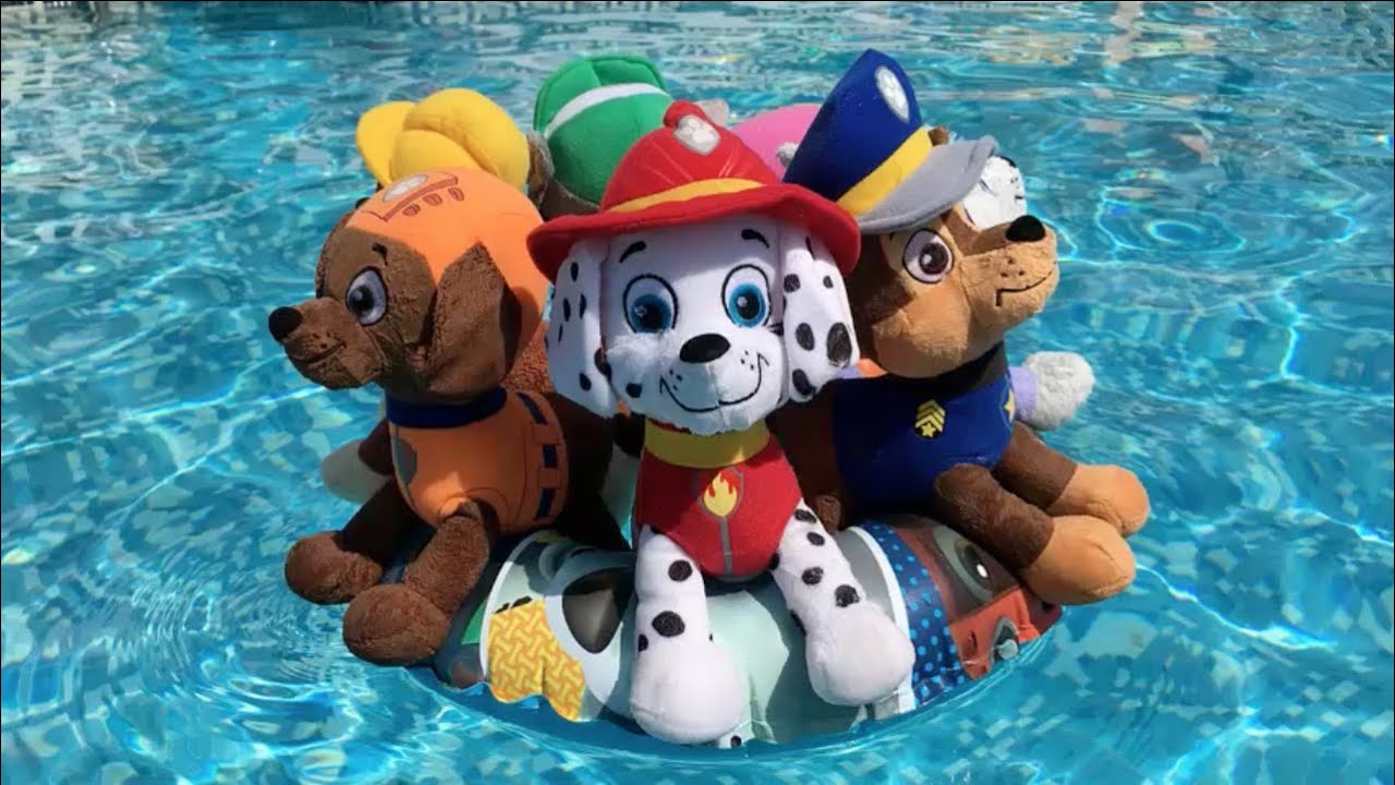 La Patrulla canina y la fiesta acuatica en la piscina / Capitulo 10 Paw Patrol en español - YouTube