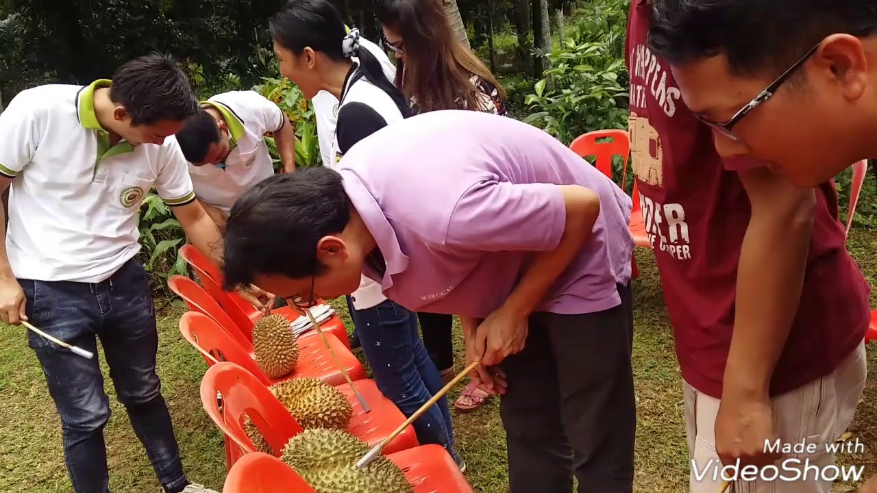 Durian Grower Club visit Khao Lan -Chang Klang knock durian Fastival ...