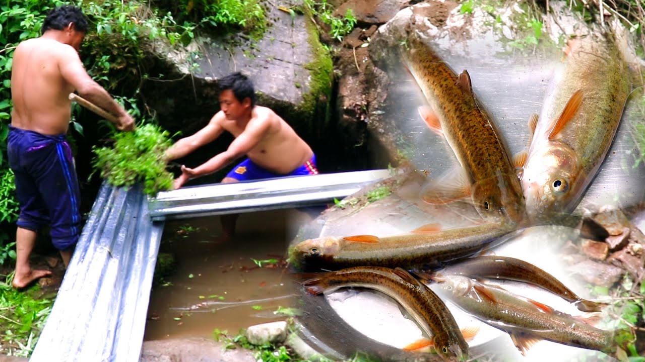 Traditional technique to catch fish in the mountain river of Nepal ...