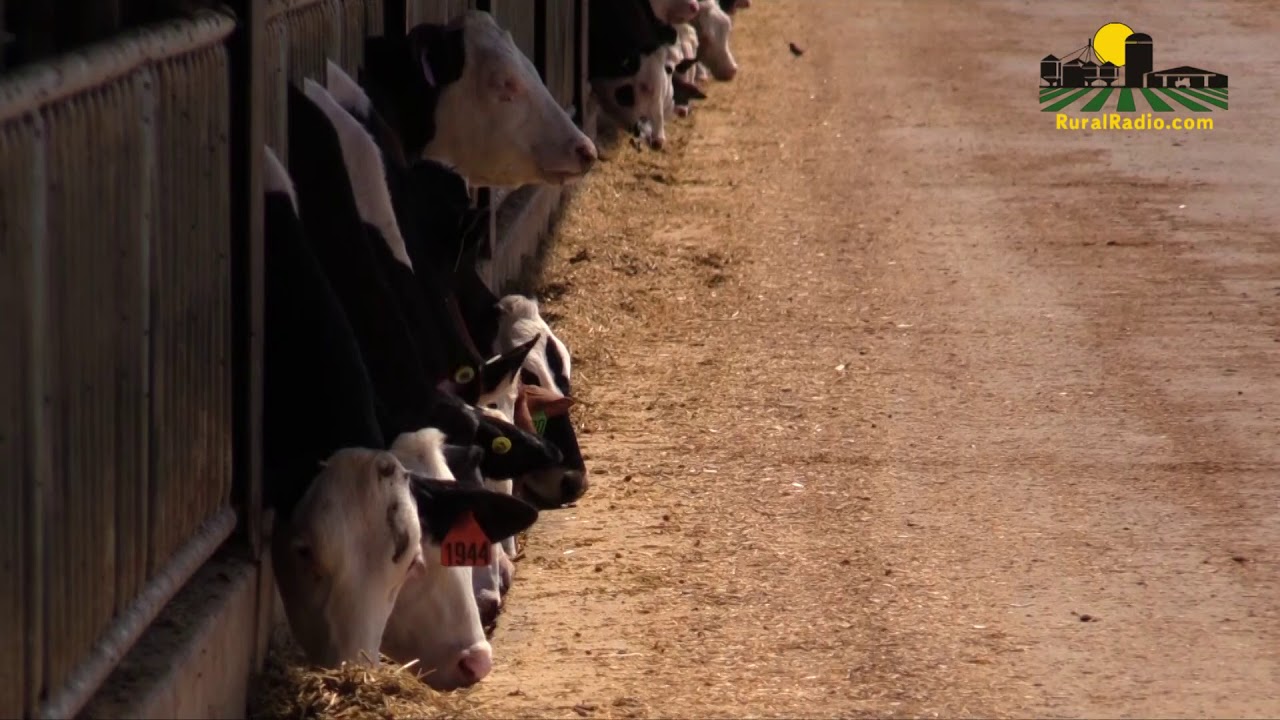 Touring Summit Calf Ranch - YouTube