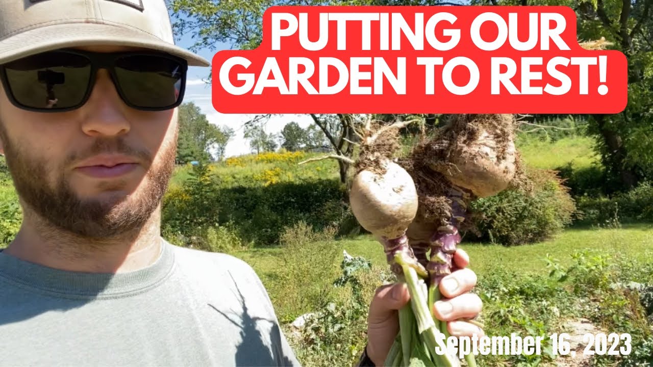 Putting Our Sad Garden To Rest: Did We Really Mow Over It? - YouTube