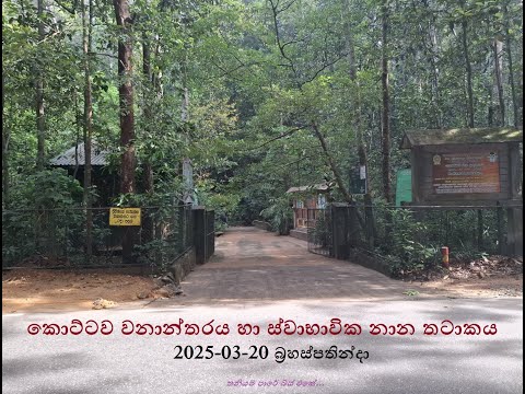 Kottawa Reserve Forest & Swimming Pool | කොට්ටව වනාන්තරය | කොට්ටව කැලේ ...