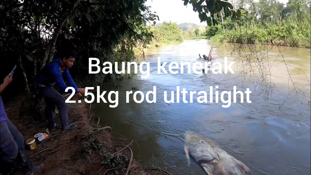 Casting sebarau jumpa orang kampung strike kenerak 2.5kg guna setup ...