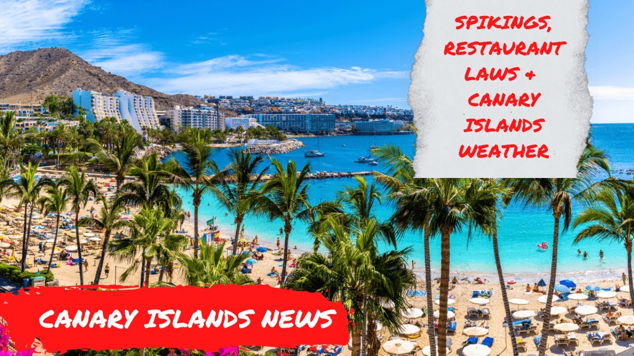 The Knightstrider – Travel and lifestyle vlogger