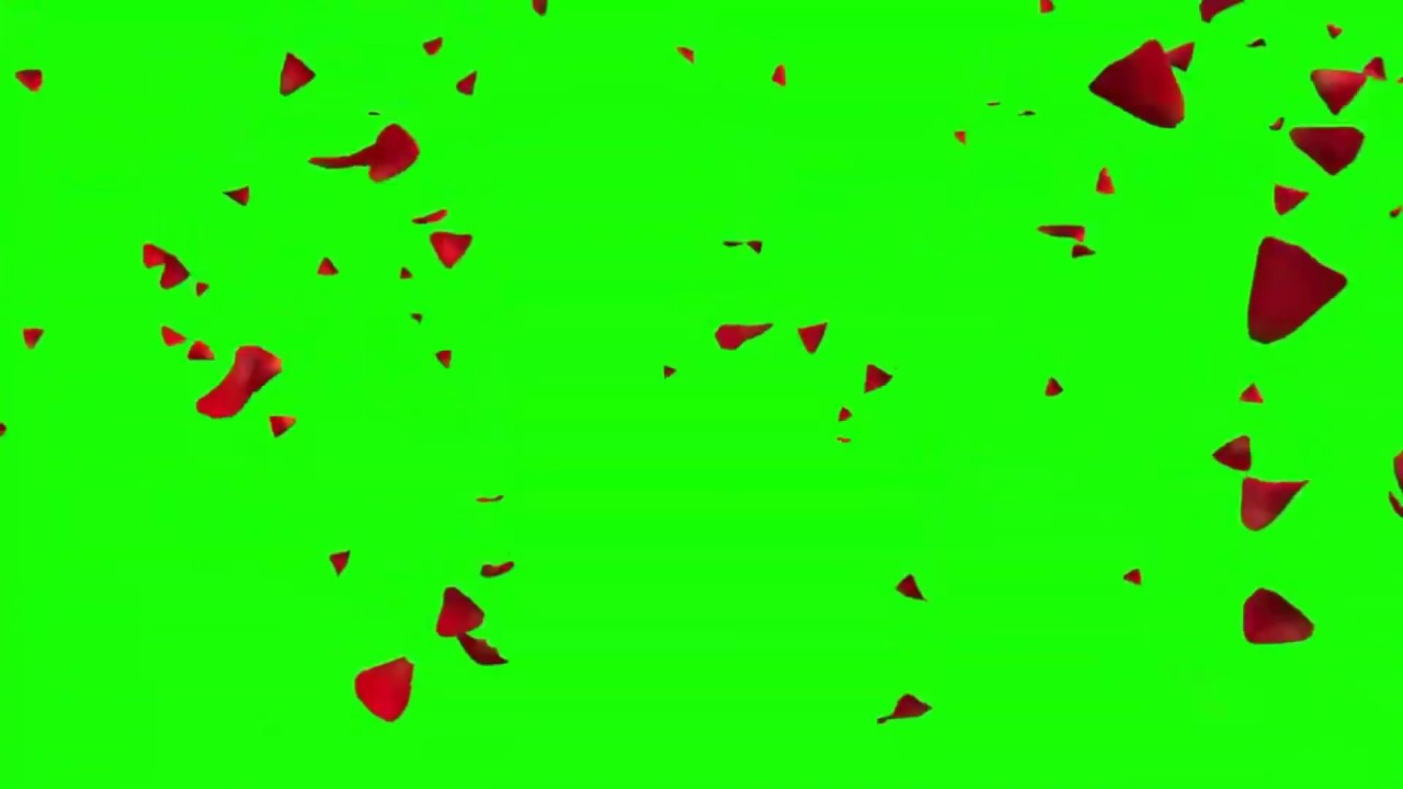 Green Screen Effect | Fly Followers Green Screen | Nyala Screen Effect ...