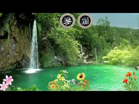 Huzur veren ilahiler dualar RuhunuzDinlenecek @SelimGENCER #öneçıkart