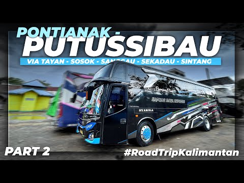 Perjalanan Malam Menembus Hutan Kalimantan | Naik Bus Kapuas Raya Pontianak - Putussibau #2