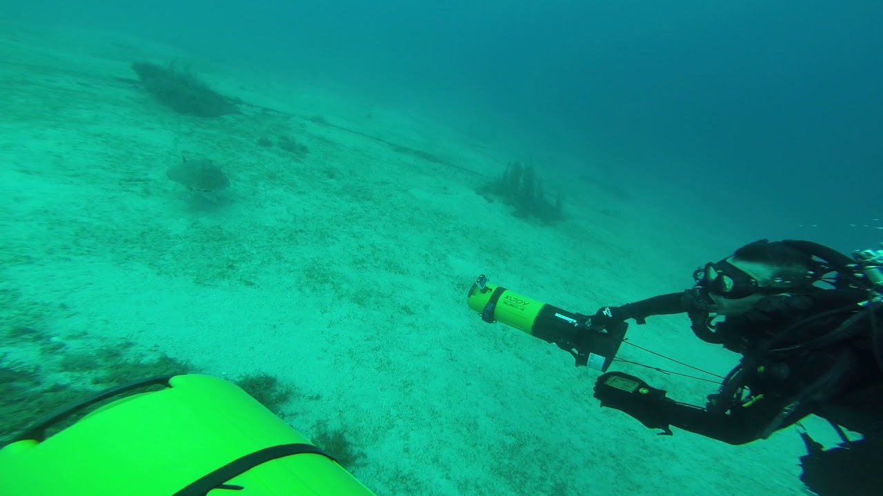 First Time! SF2 & Suex Xjoy Diving - YouTube