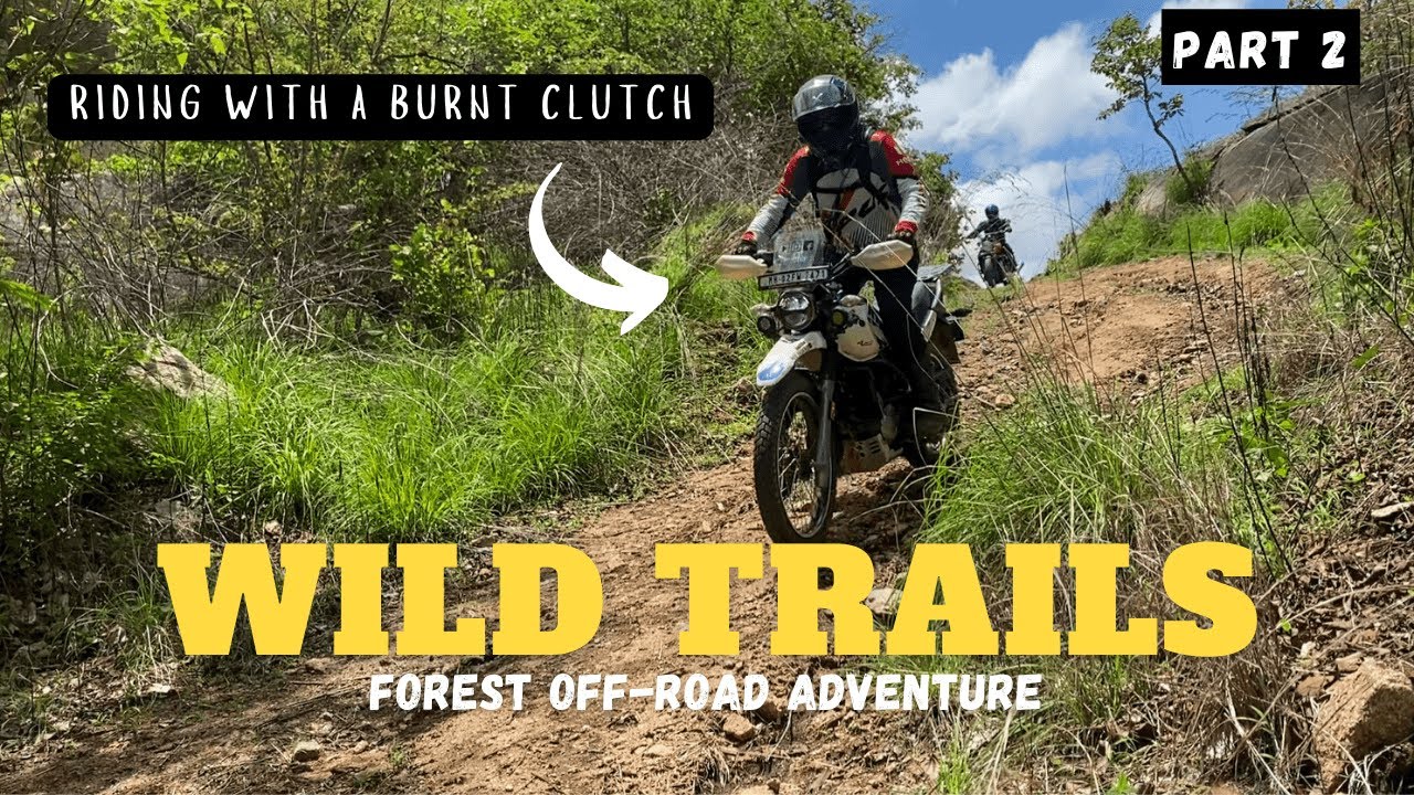 Wild Trails: Forest Off-road Adventure | Part 2 - YouTube