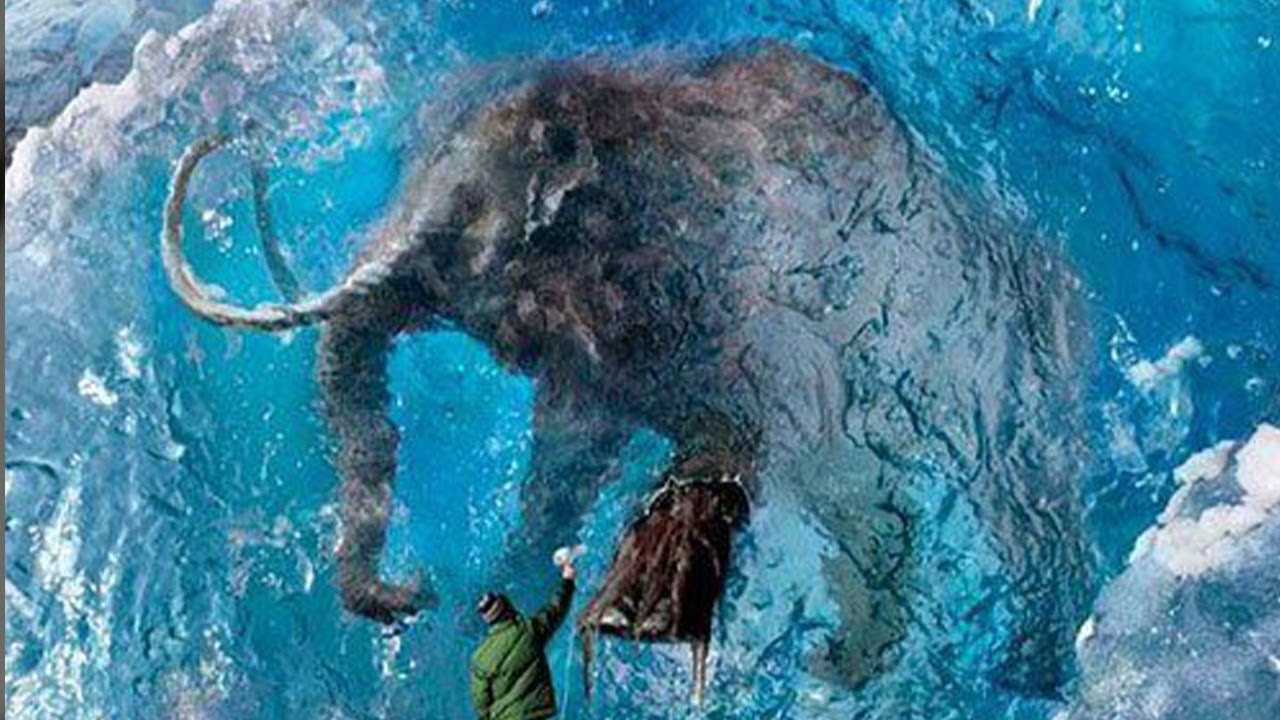 Bizarre Creatures Found In Antarctica - Part 2 - YouTube