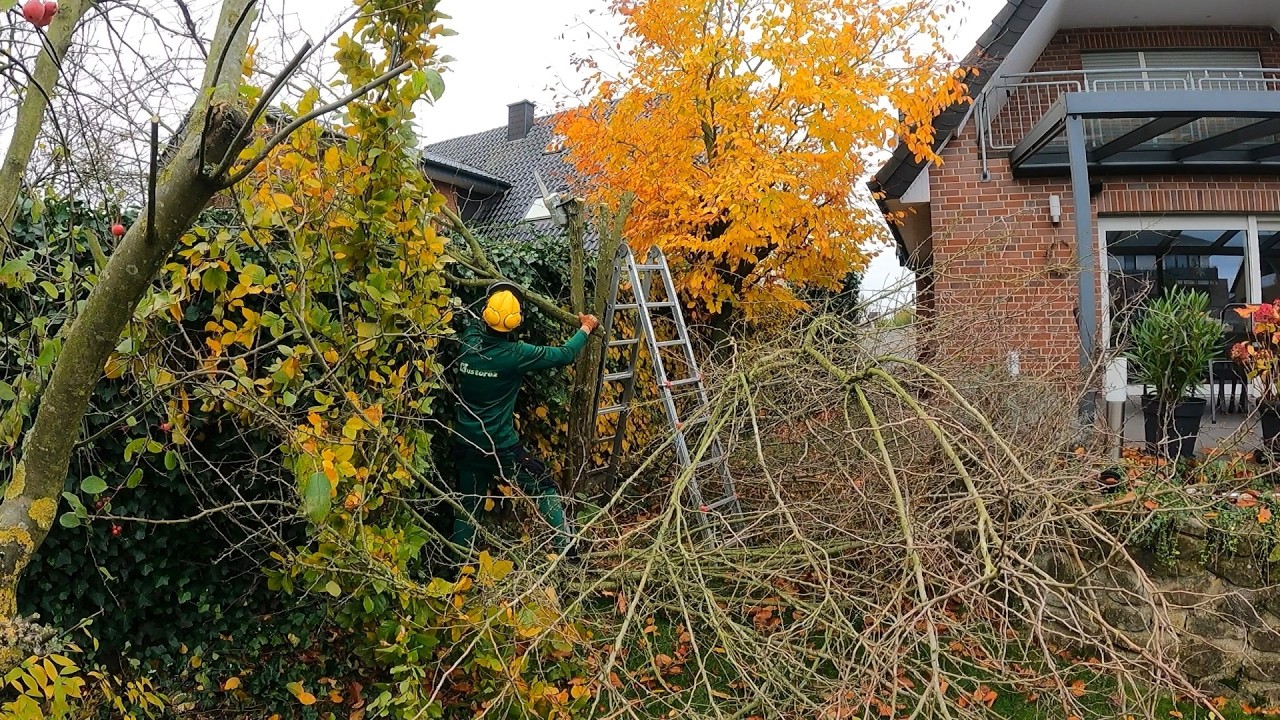 It Took Me FOUR DAYS to Trim and Clean Up this Yard! - YouTube