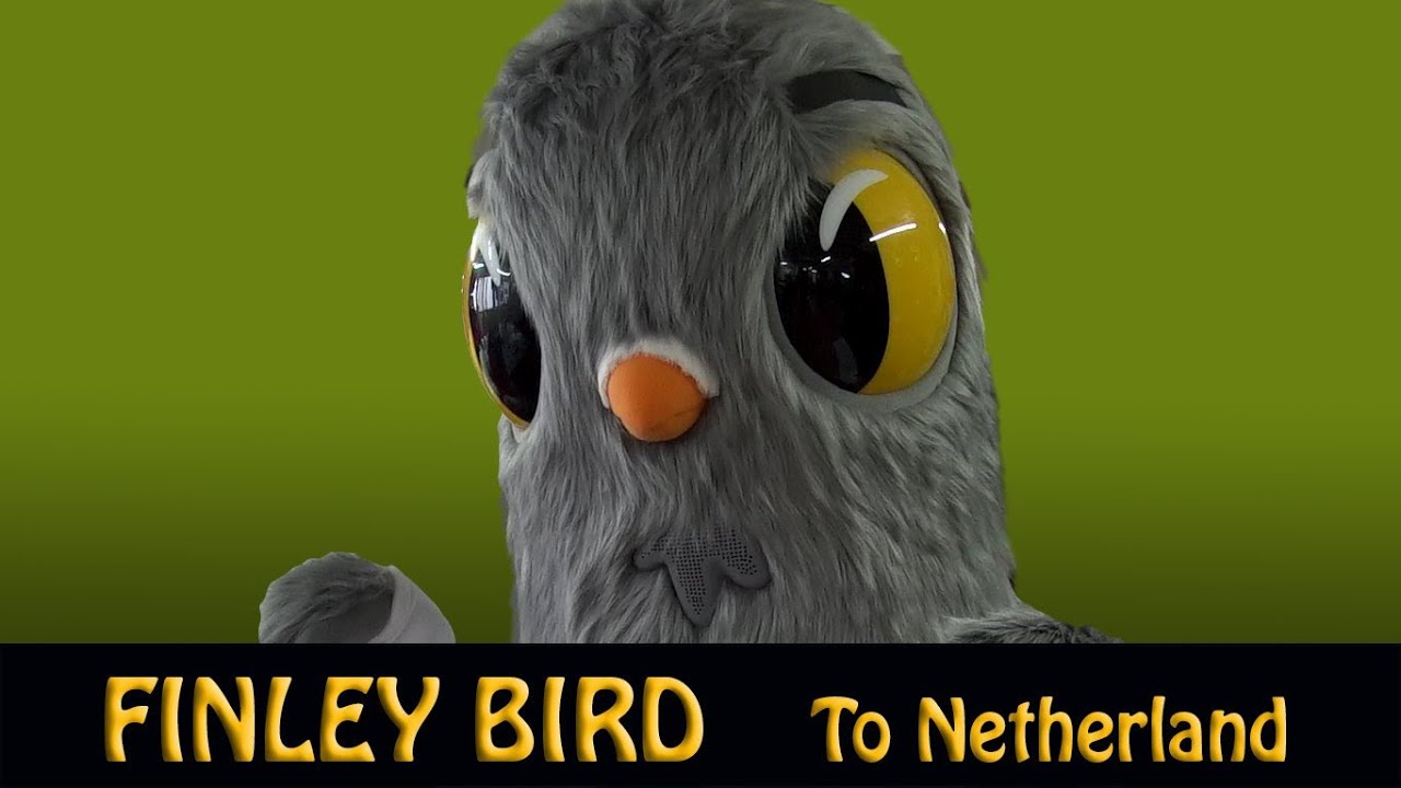 Finley Bird Mascot - YouTube
