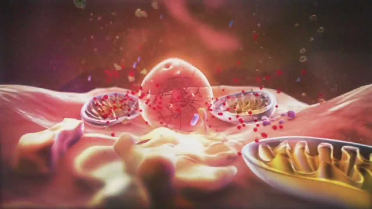 What is ASEA - YouTube