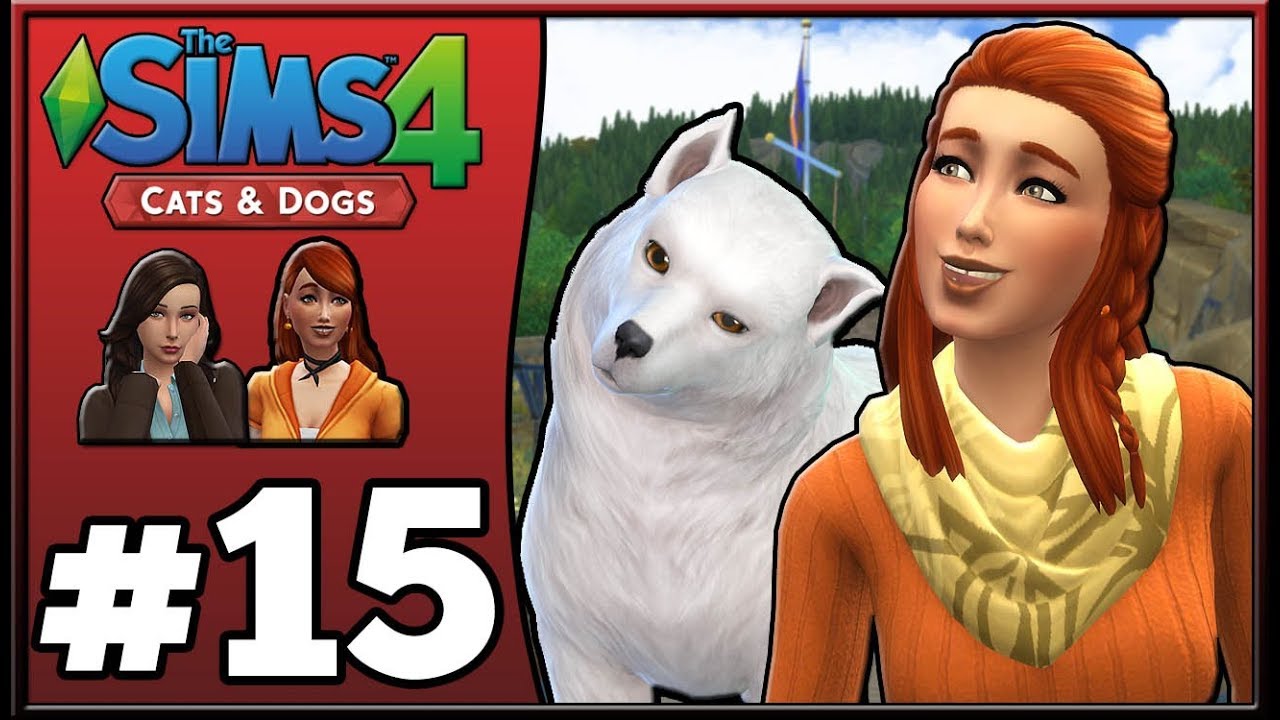 Small Pet Store & Lighthouse Woohoo! | Let's Play The Sims 4: Cats ...