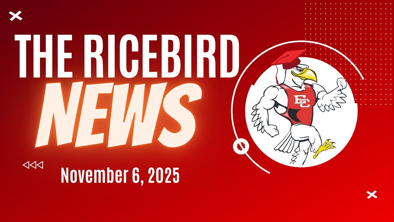 November 6 2025 Ricebird News - YouTube