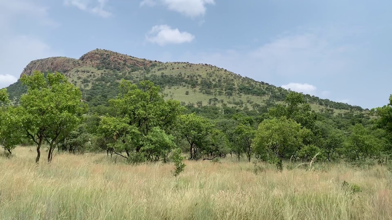 Zandfontein Farm Priced to SELL! - YouTube