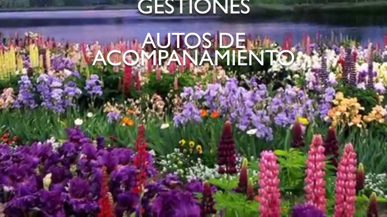 PUERTA DEL CIELO FUNERAL HOME SPRINGFIELD, MA - YouTube