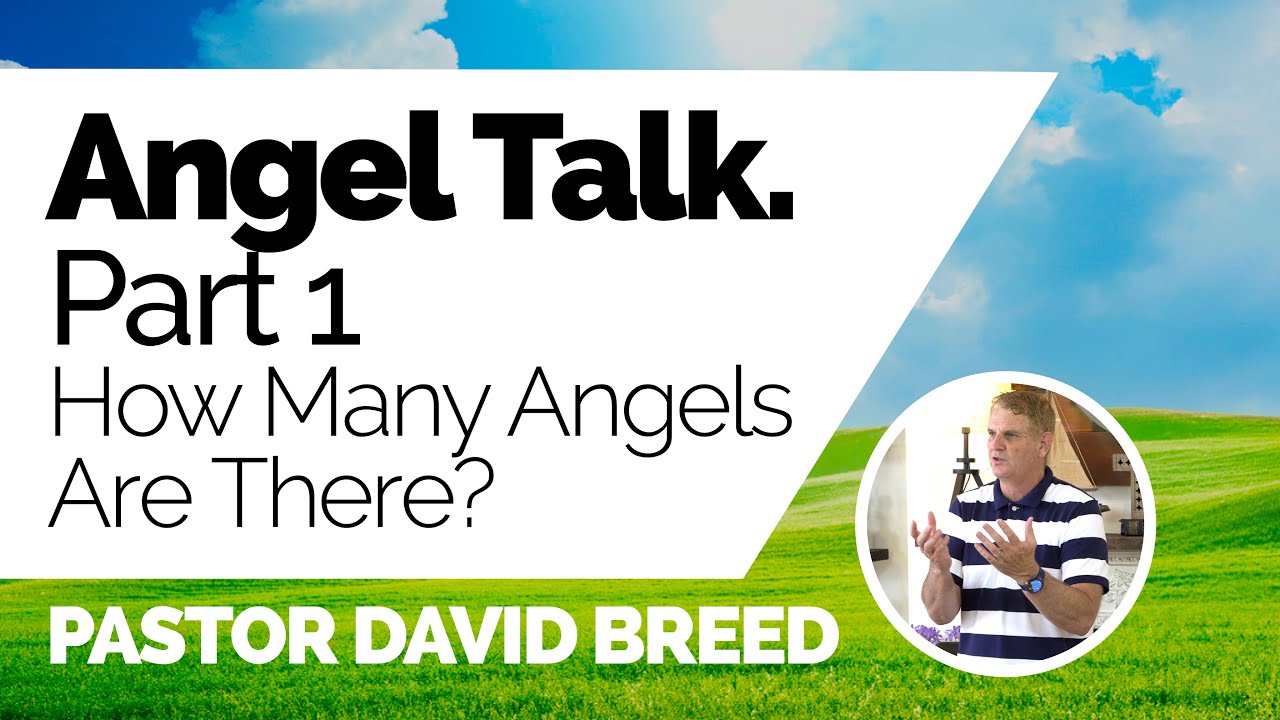 Wow, Wow, Wow! Part 1) How Many Angels are there? - Angel Talk Series ...