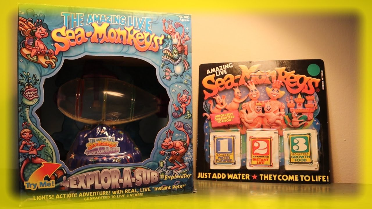 Sea-Monkeys Explor-A-Sub and 1971 Amazing Live Sea-Monkeys! - YouTube