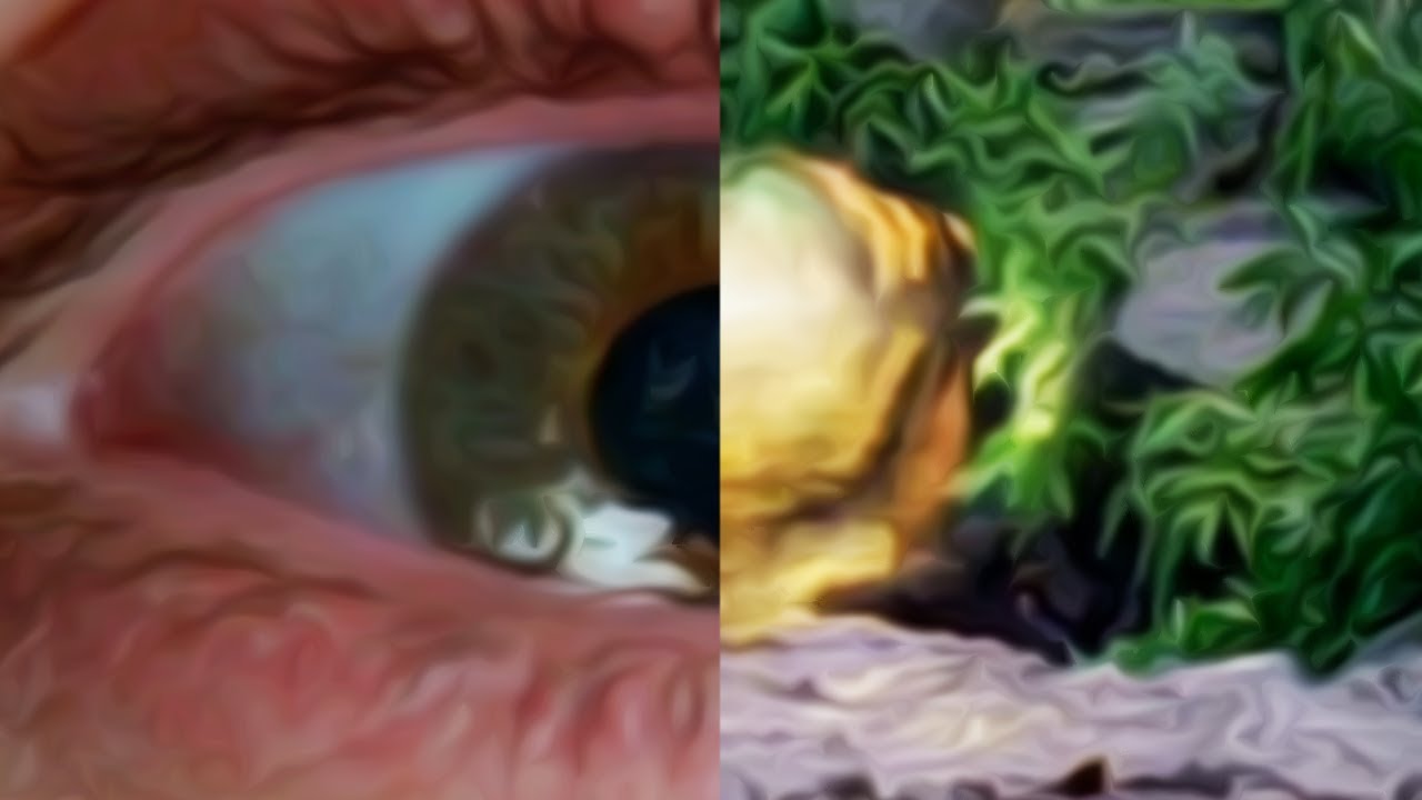 The First Central Mystery of LOST- Ending Explained - YouTube