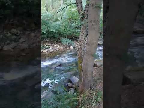 BİTLİS HİZAN SAMANYOLU KÖYÜ ( PAKÜSA )