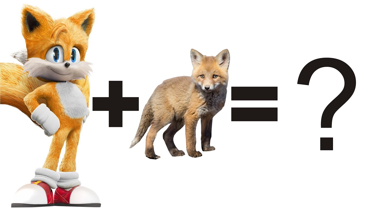 Real Life Tails The Fox