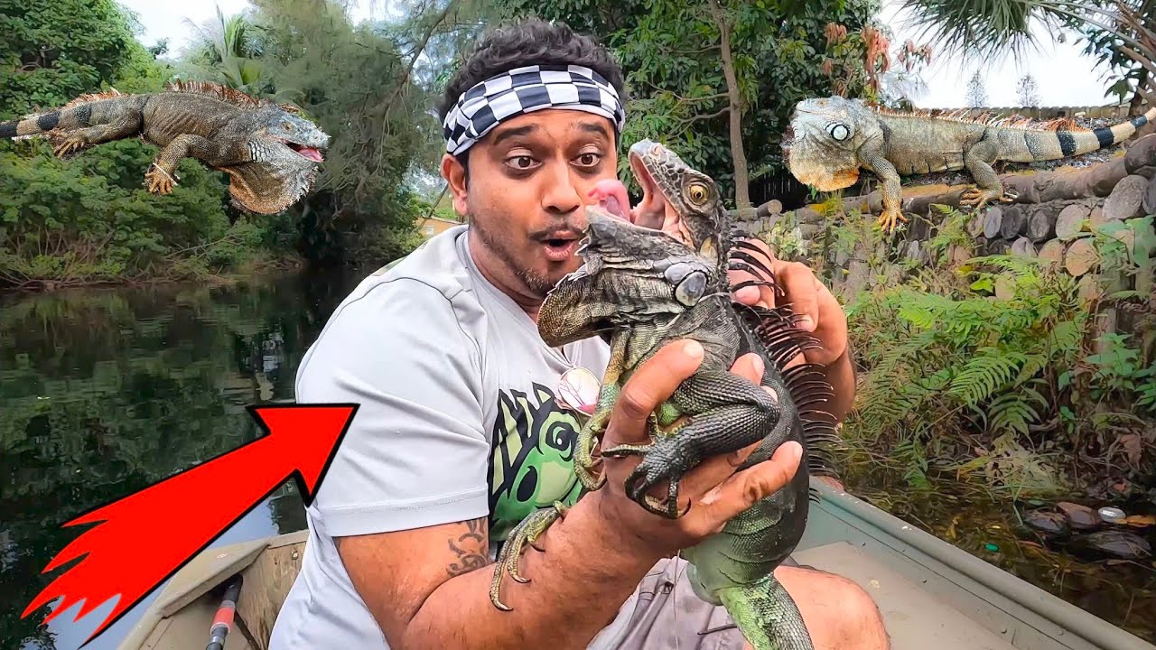 Day 37 - New outboard motor for my swamp boat! Performance test & quick ...