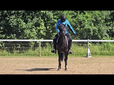 Lindsey Berry and Spirit’s Celeste, AA, INTRO B (full size arena ...