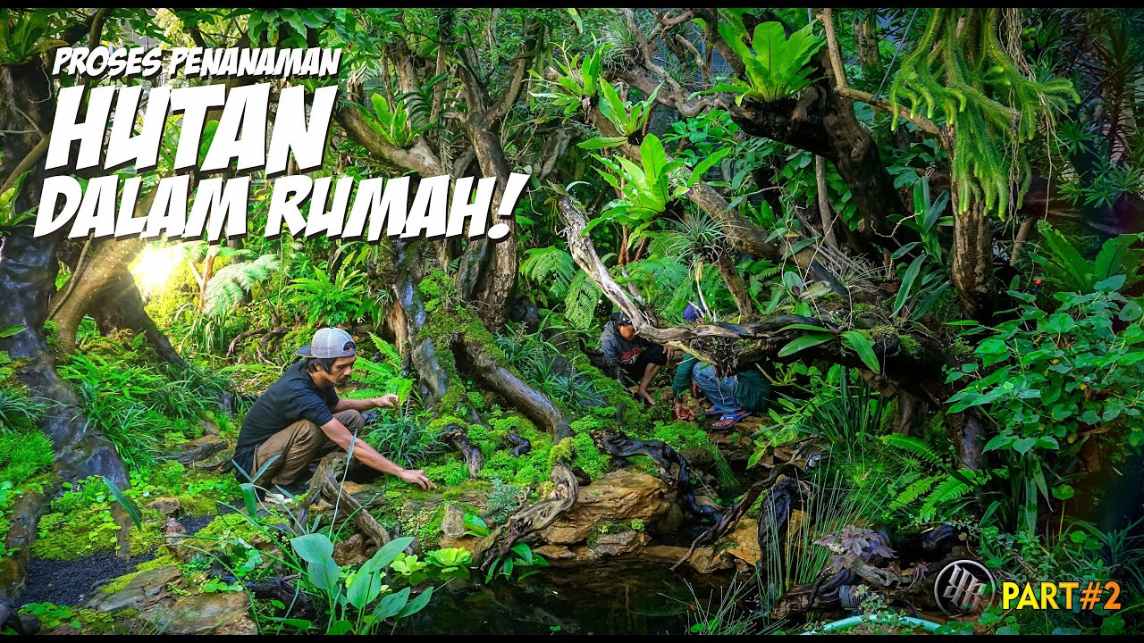 Menuju Finishing Hutan Hujan Buatan // part 2 - YouTube