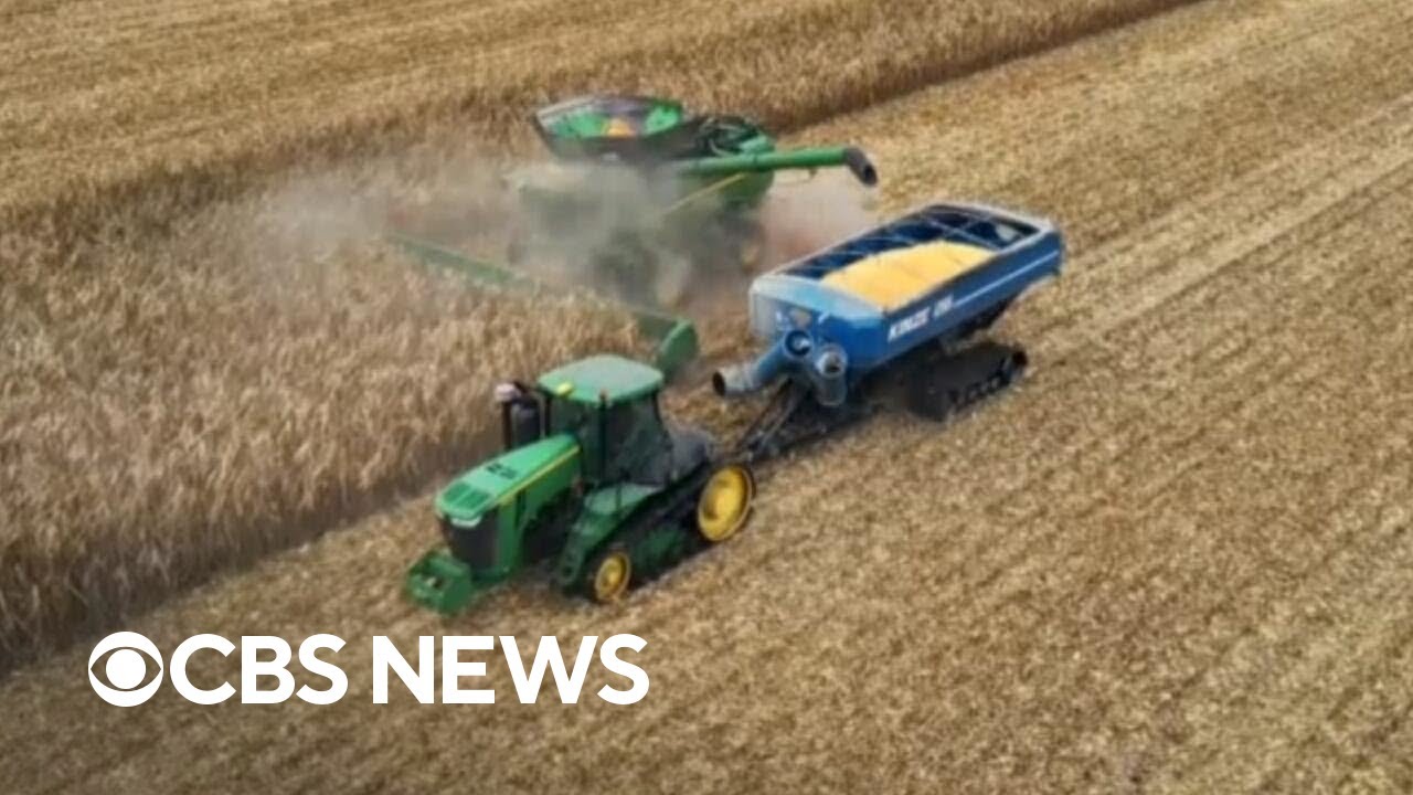 Nebraska Farmers Union president on Trump's $300 billion aid plan - YouTube