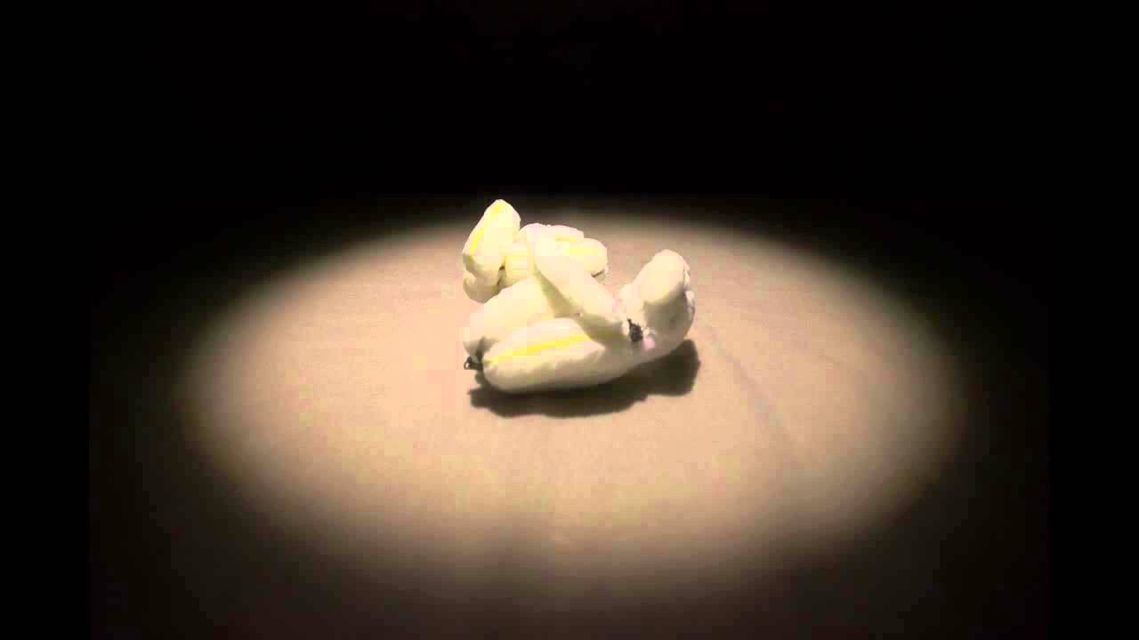 Birth stopmotion animation - YouTube