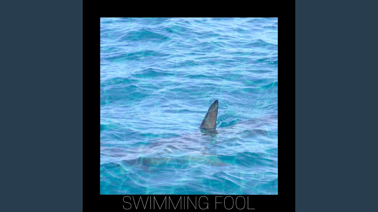 Swimming fool - YouTube Music