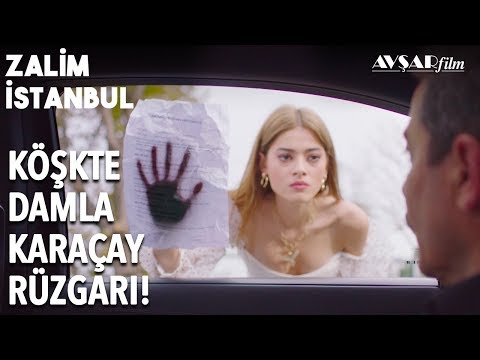 Şeniz'in Damla'ya Oyunu, Doldurup Agah'ın Üzerine Gönderdi! | Zalim İstanbul 18. Bölüm