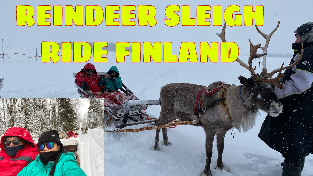 Reindeer Sleigh Ride Lapland,Finland - YouTube