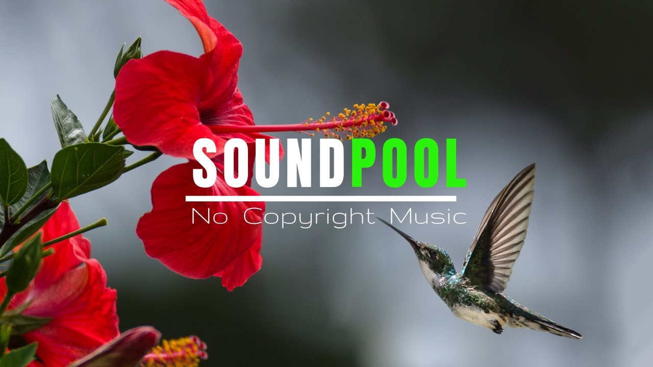 SoundPool - Where to Go - YouTube