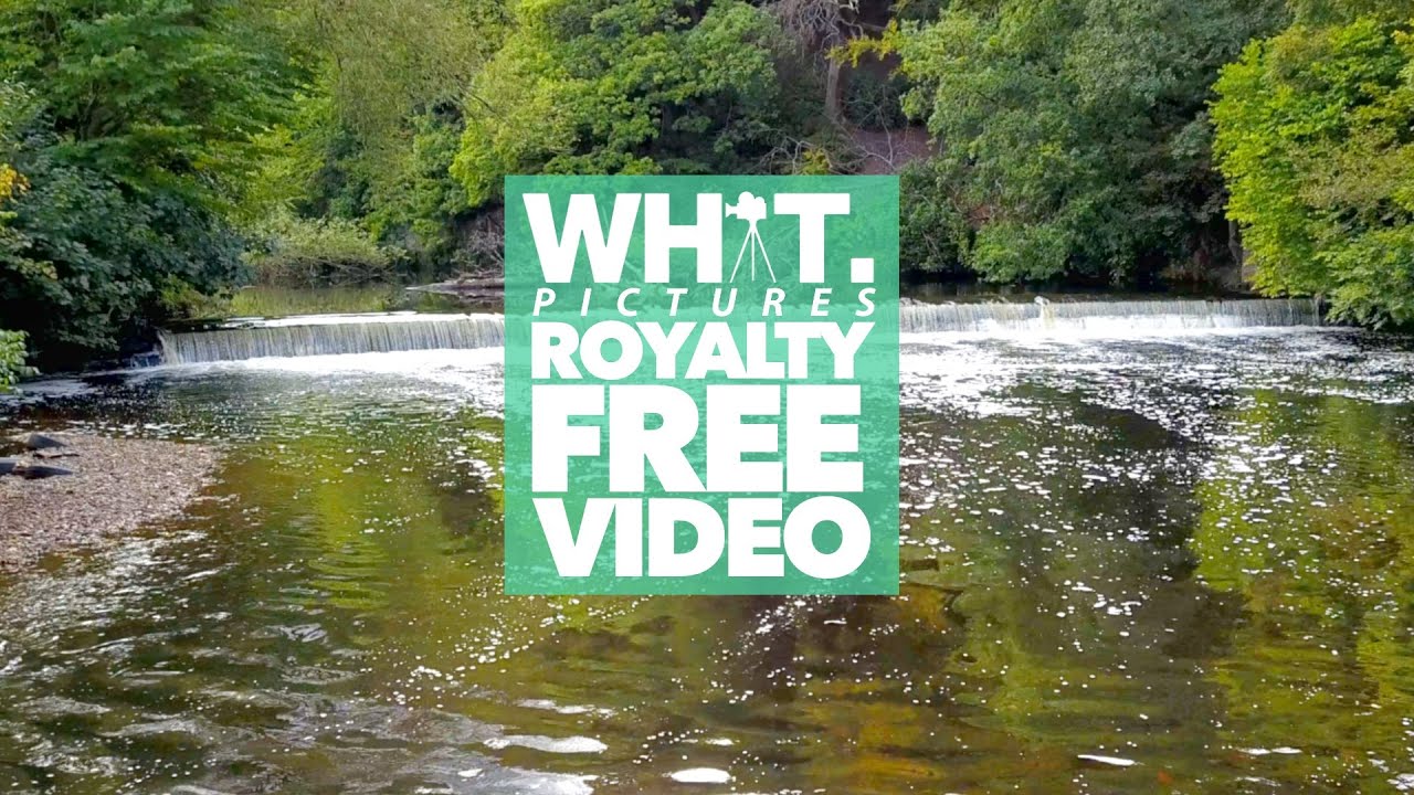 Aerial Water Shot River Video [Free to Use/No Copyright] YouTube/Film ...