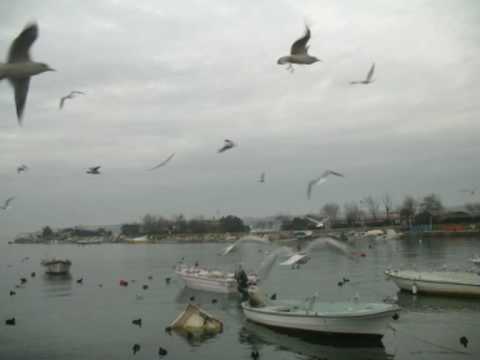 işte gidiyorum çeşmi siyahım video