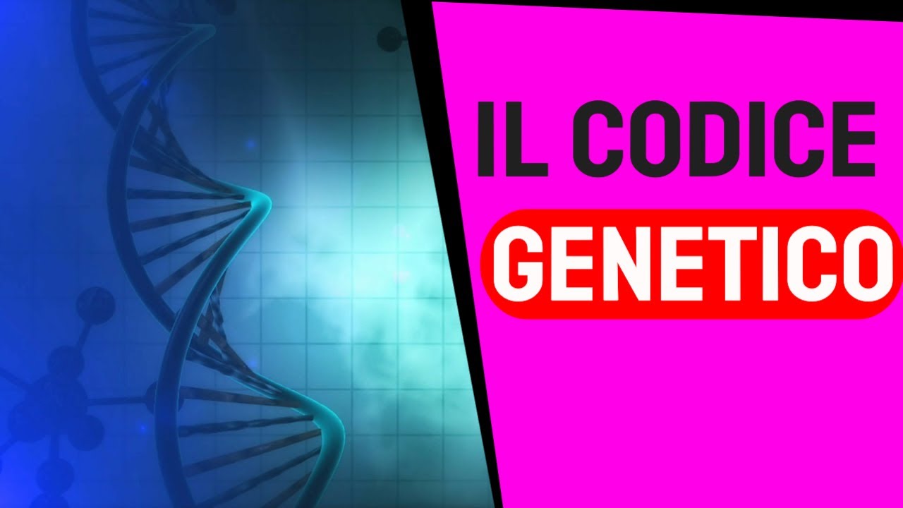 Come funziona il codice genetico 🔬 - YouTube