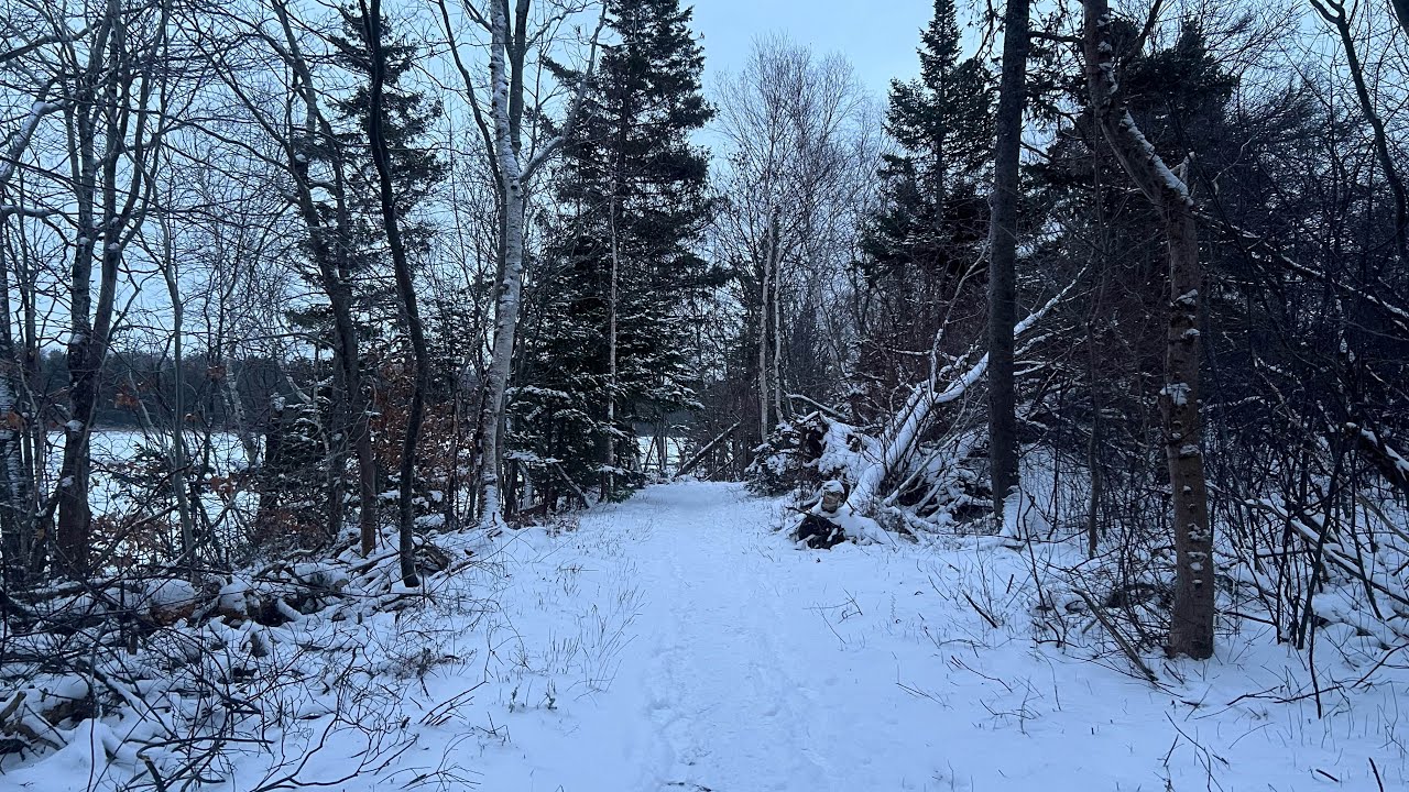 Canadian Winter - Andrew's Pond South Trails in Winter - Charlottetown ...