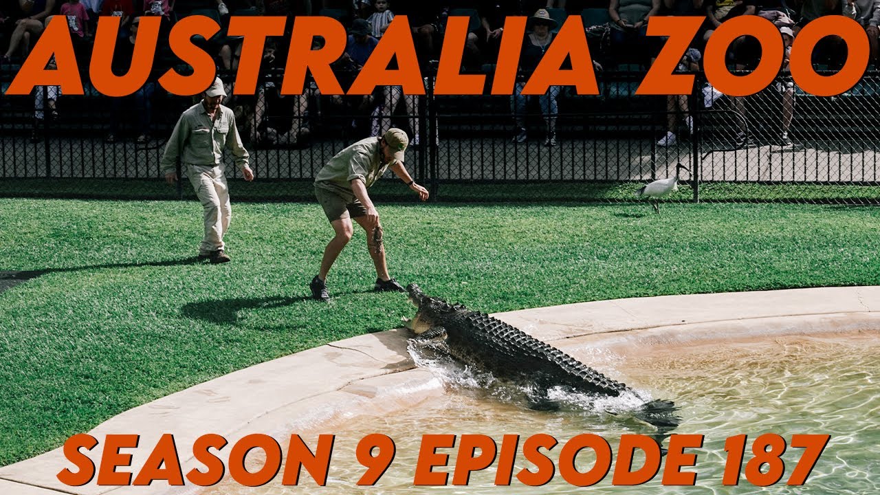 Crikey!!! Visiting Australia Zoo! - YouTube