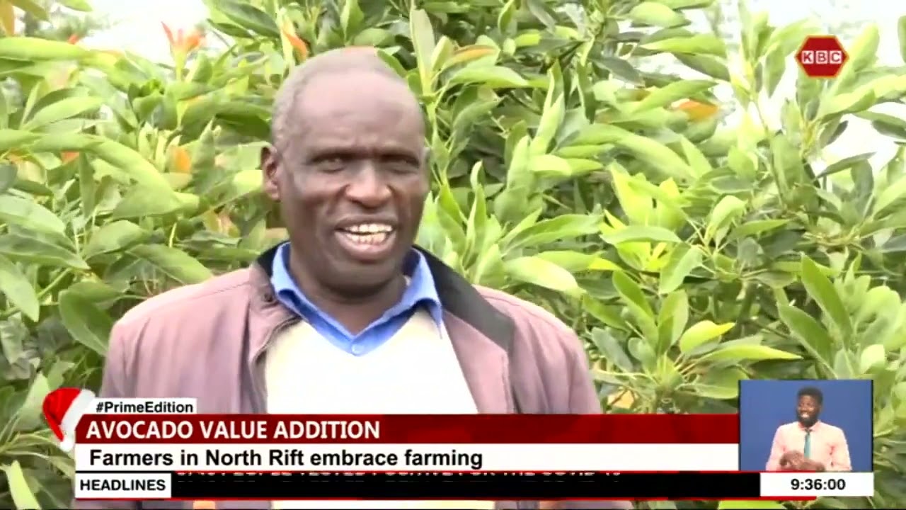 Avocado Value Addition - YouTube