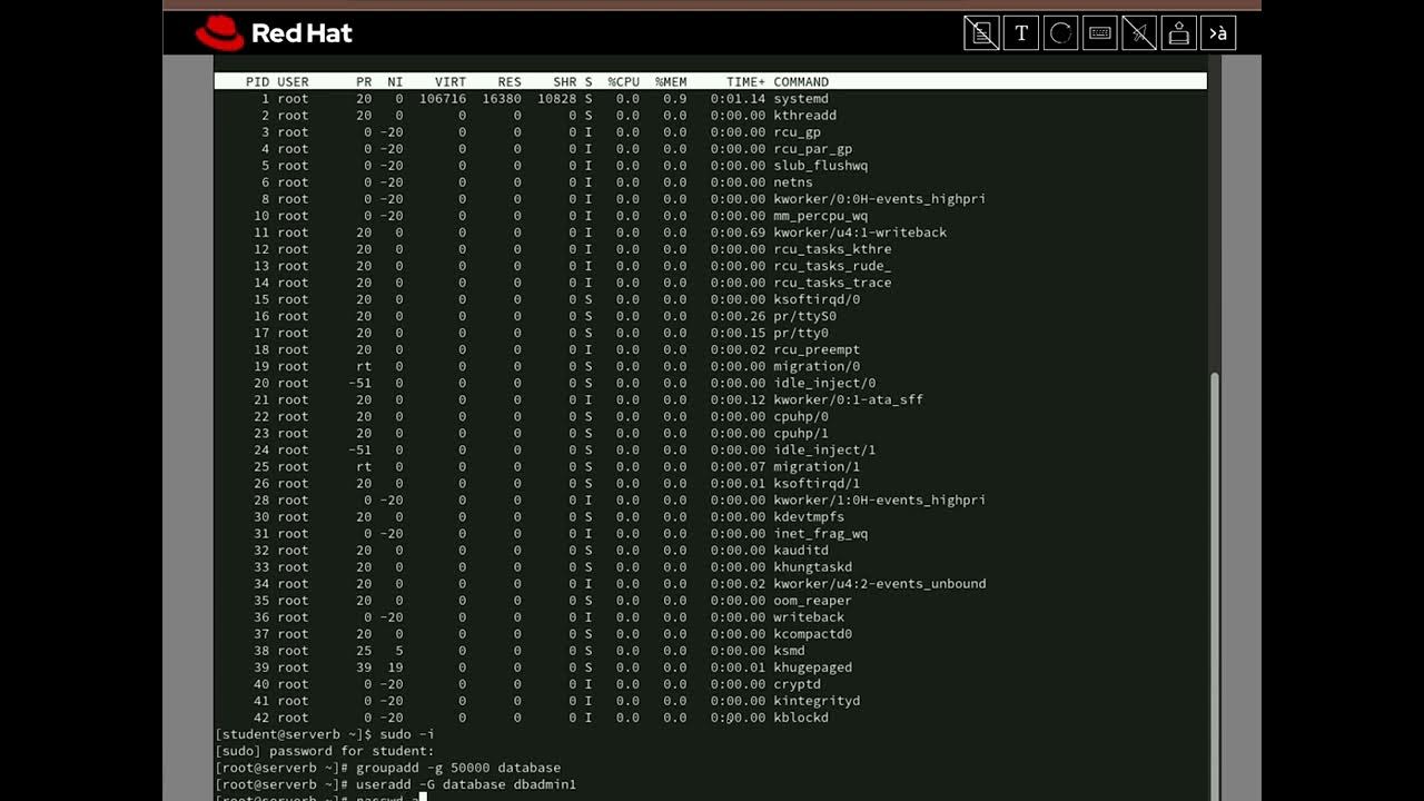 Manage Users and Groups, Permissions, and Processes - Red Hat System ...